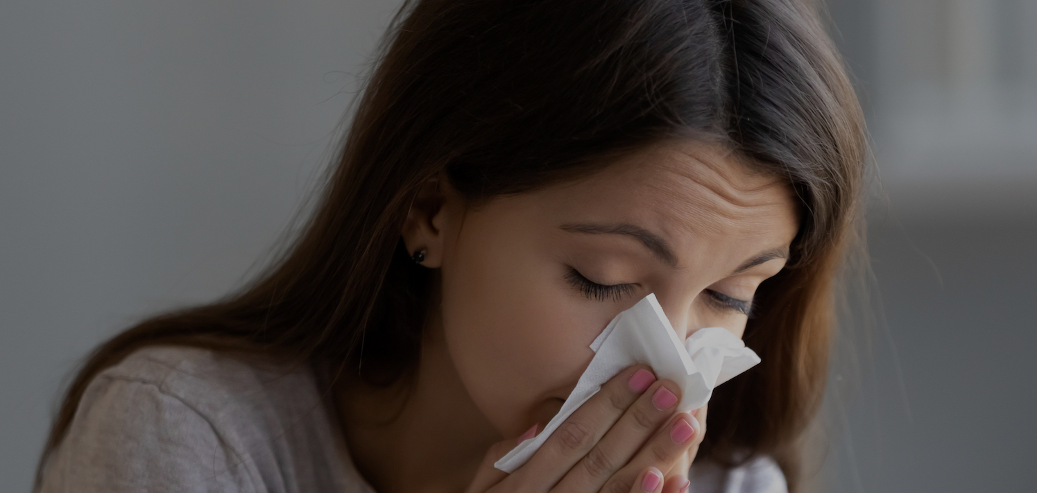 Can Dog Allergies Cause Post Nasal Drip